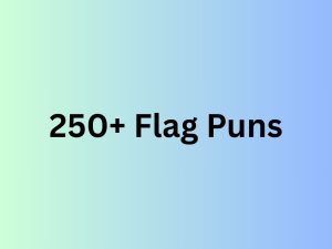 250+ Flag Puns to Raise Your Laugh Level - Puns Book